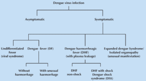 Infeksi Dengue (DENV): Demam Dengue dan DBD – Kedokteran – Caiherang