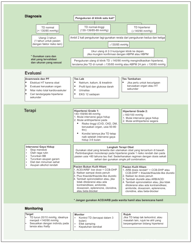Hipertensi: Diagnosis dan Tatalaksana (ISH 2020) – Kedokteran – Caiherang