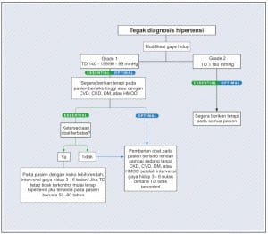 Hipertensi: Diagnosis dan Tatalaksana (ISH 2020) – Kedokteran – Caiherang